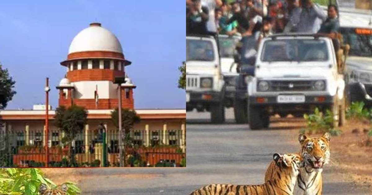 हम मंत्री-DFO के दुस्साहस से हैरान... सुप्रीम कोर्ट ने लगाई फटकार, यह ...