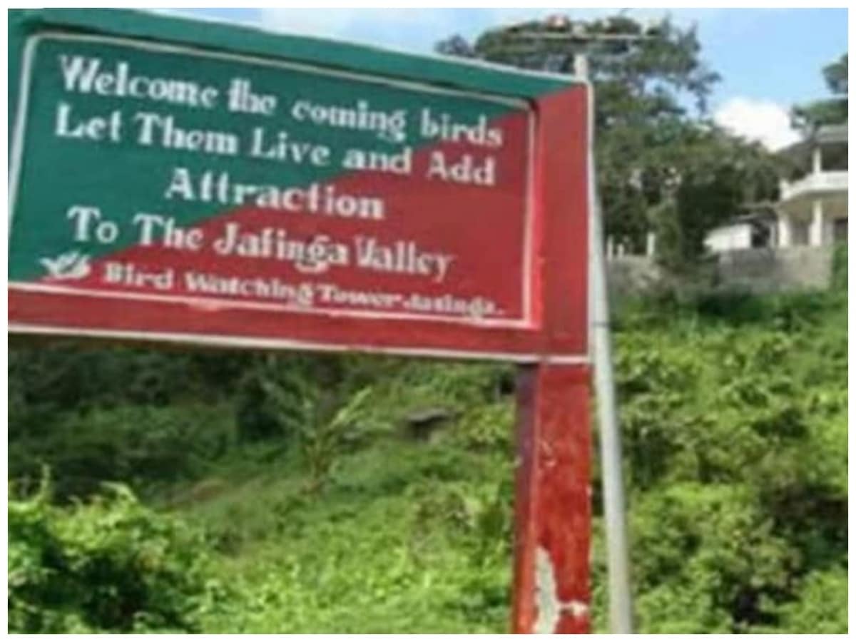 भारत की वो रहस्यमयी जगह जहां पक्षी झुंड में जाकर करते हैं सुसाइड ...