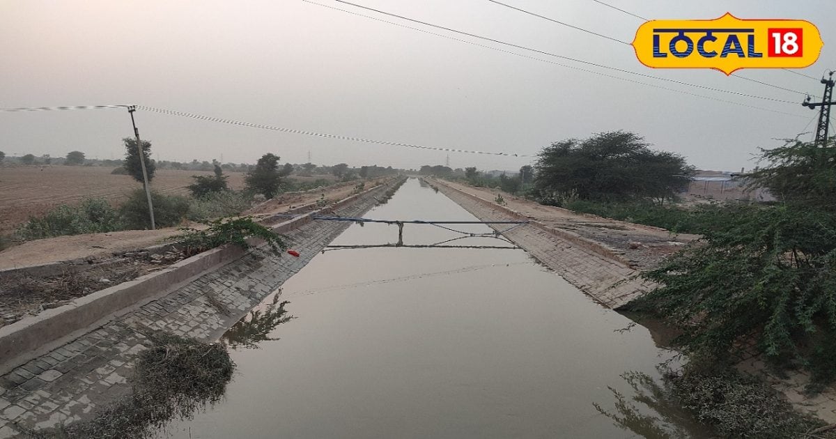 there will be canal closure in Rajasthan from this day, water will not ...