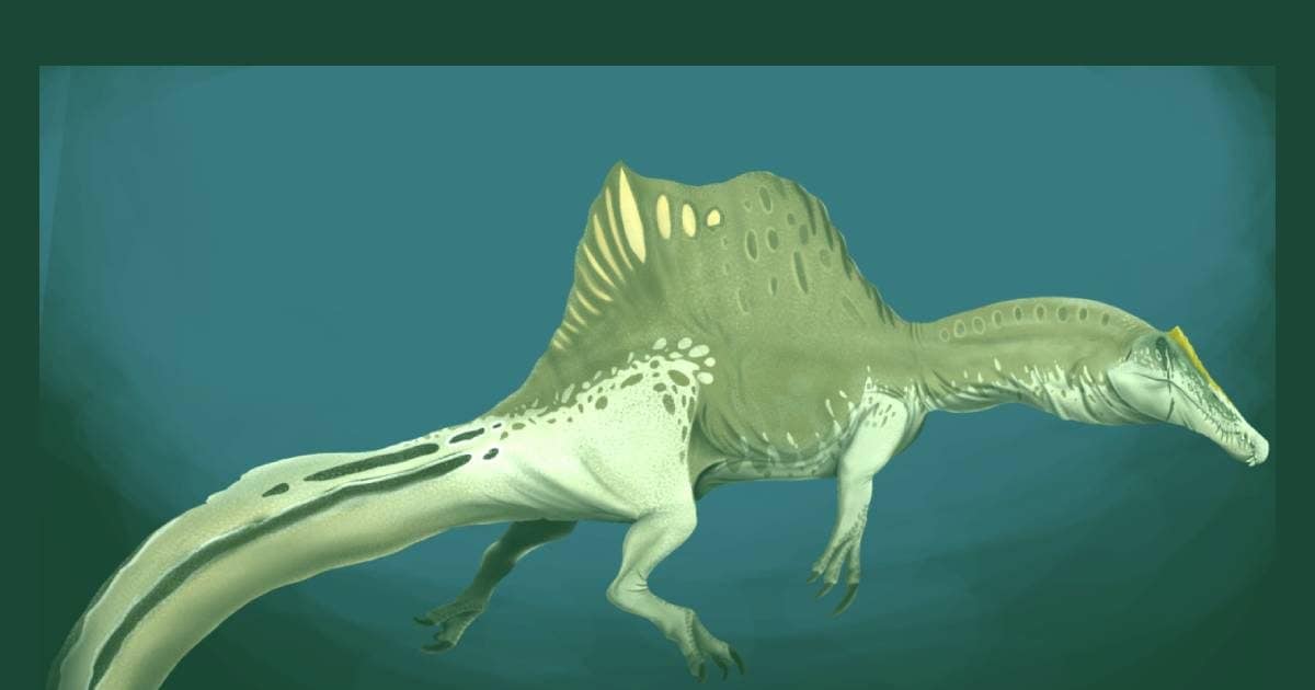 अनोखे डायनासोर से वैज्ञानिक हुए कन्फ्यूज, पहले कहा ये गहरे पानी का ...