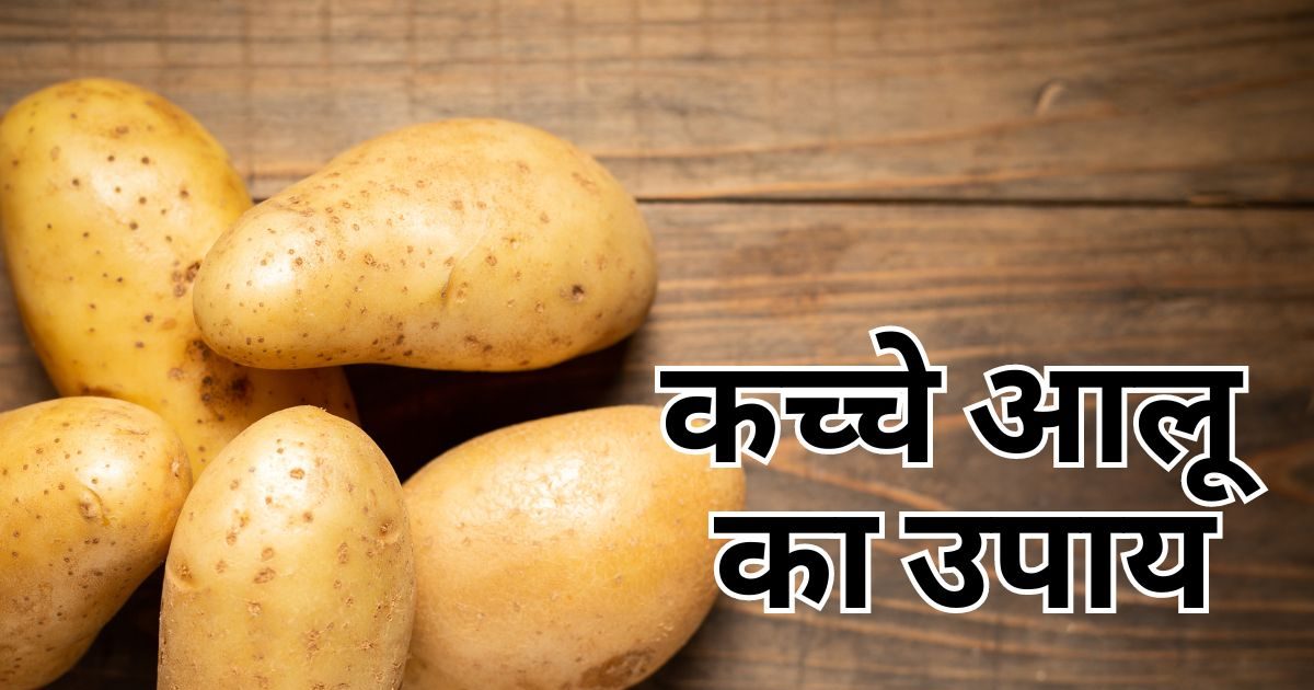 कच्चे आलू का महा उपाय, हर तरह के कर्ज से मिलेगा छुटकारा, सुधरेगी आर्थिक ...