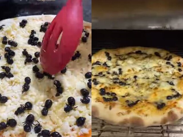 VIDEO: चींटियों को किया फ्राई, फिर पिज्जा पर डालकर बना दी अजीबोगरीब डिश ...