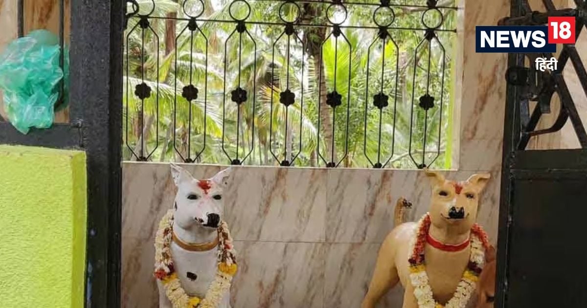 भारत में कहां-कहां है कुत्ते का मंदिर? जानें क्यों पूजते हैं लोग, वजह ...