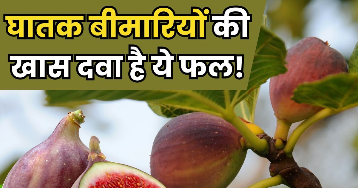 दवाओं का कॉम्बो पैक है ये पहाड़ी फल, पीएम मोदी भी कर चुके तारीफ, घातक ...