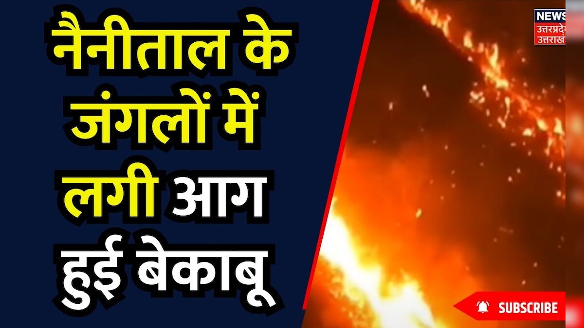 Fire in Nainital Forest: नैनीताल के जंगलों में लगी भीषण आग हुई बेकाबू ...