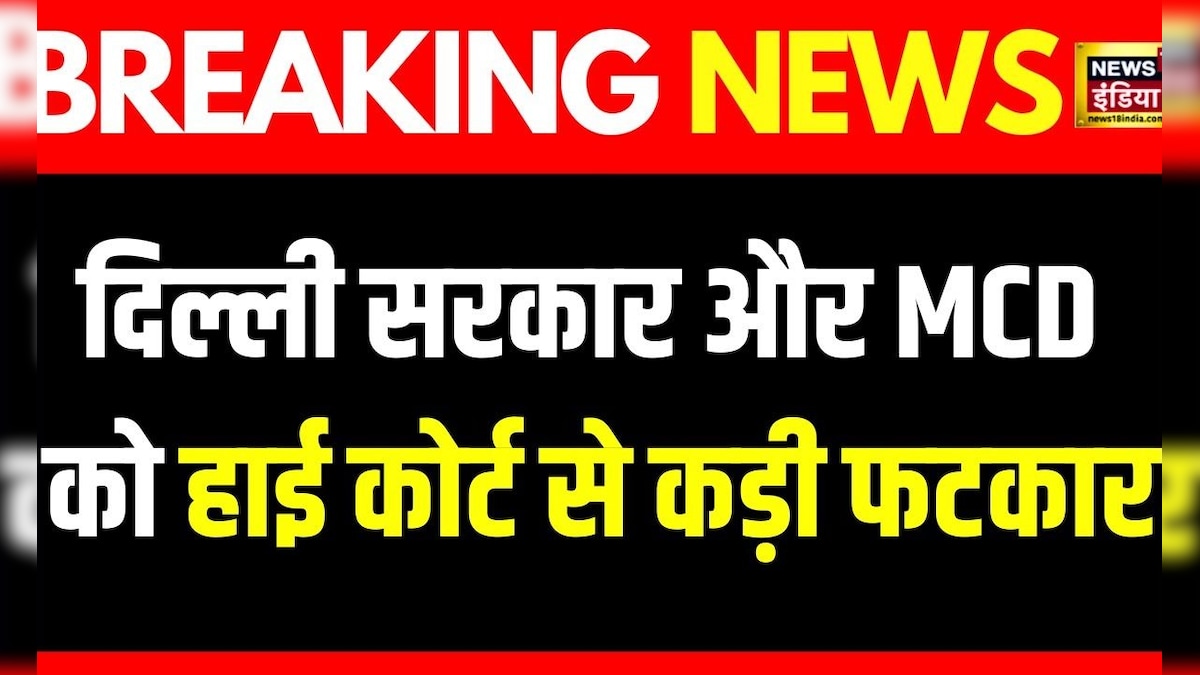 Breaking News: दिल्ली सरकार और MCD को हाई कोर्ट से कड़ी फटकार | Delhi ... Breaking News: दिल्ली सरकार और MCD को हाई कोर्ट से कड़ी फटकार | Delhi ...