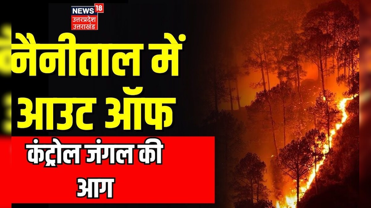 Fire in Nainital Forest: नैनीताल में आउट ऑफ कंट्रोल जंगल की आग ...