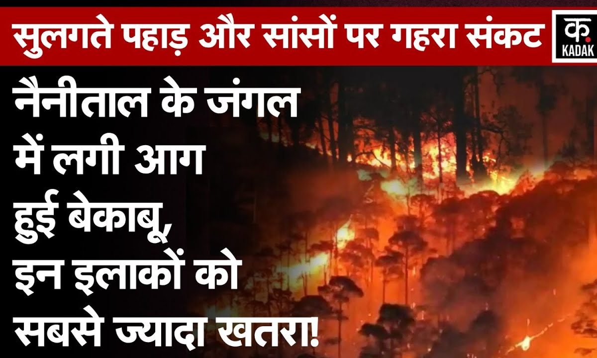 Nainital Forest Fire: नैनीताल के जंगलों में आग से बुरा हाल| Uttarakhand ...
