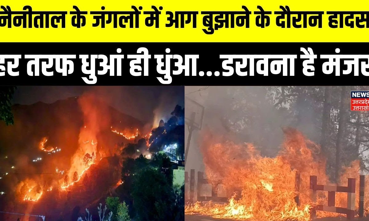 Fire in Nainital Forest: Bageshwar में भारी नुकसान, आग बुझाने के दौरान ...