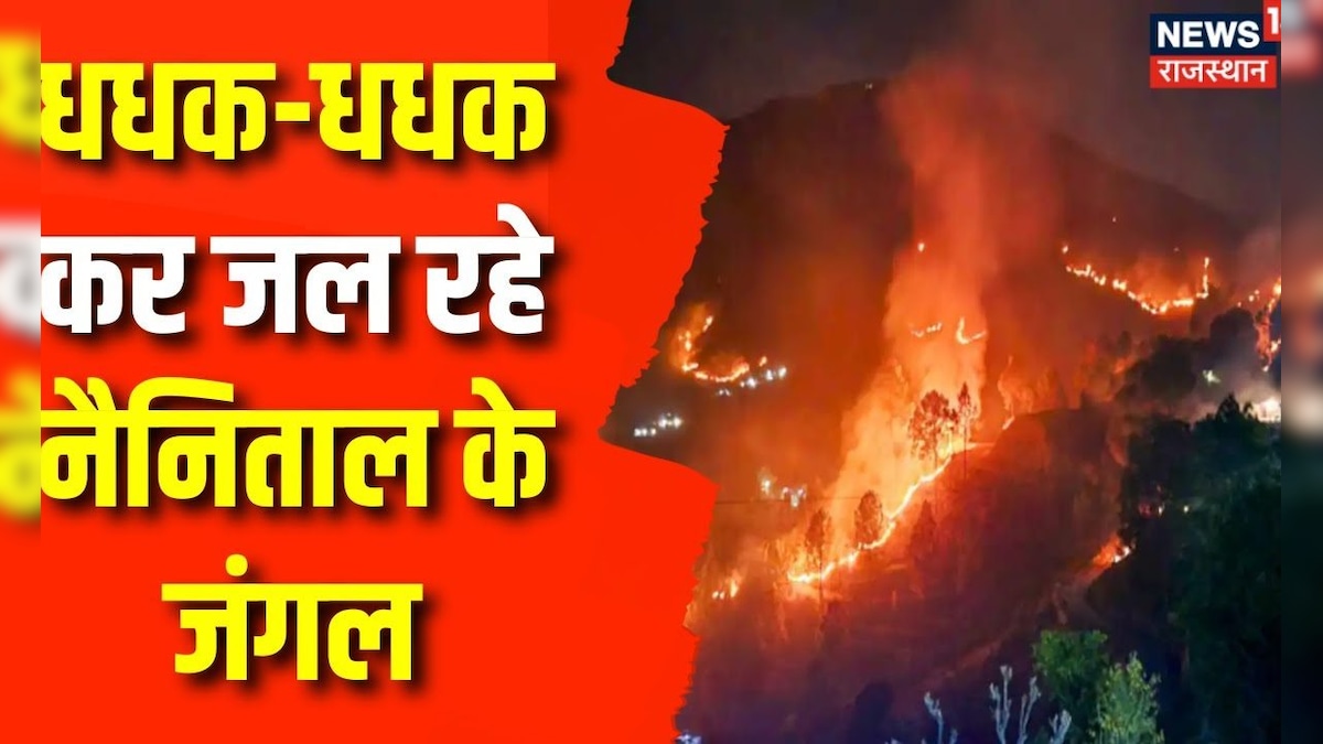 Nainital News : धधक रहा है नैनिताल, हल्द्वानी के जंगल में लगी भीषण आग ...
