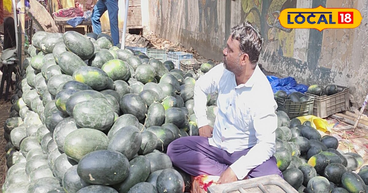 पलामू में यहां मिलेगा उड़ीसा और छत्तीसगढ़ का खास तरबूज, थोक के भाव में ...