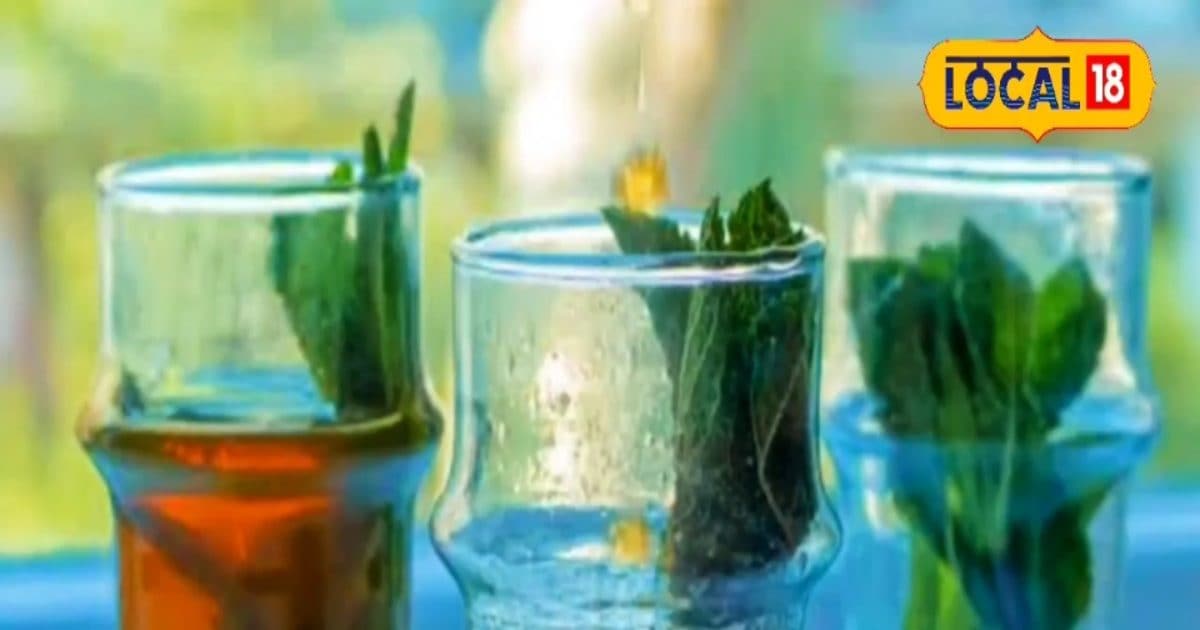 Indain style famous moroccan tea of Indian tea house bhopal - News18 हिंदी