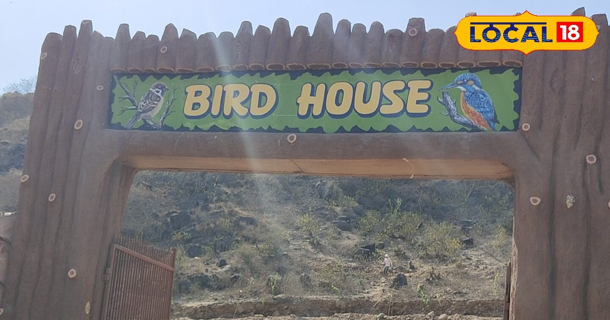 Tourists will see mini form of Alwar from Bird House, city residents ...