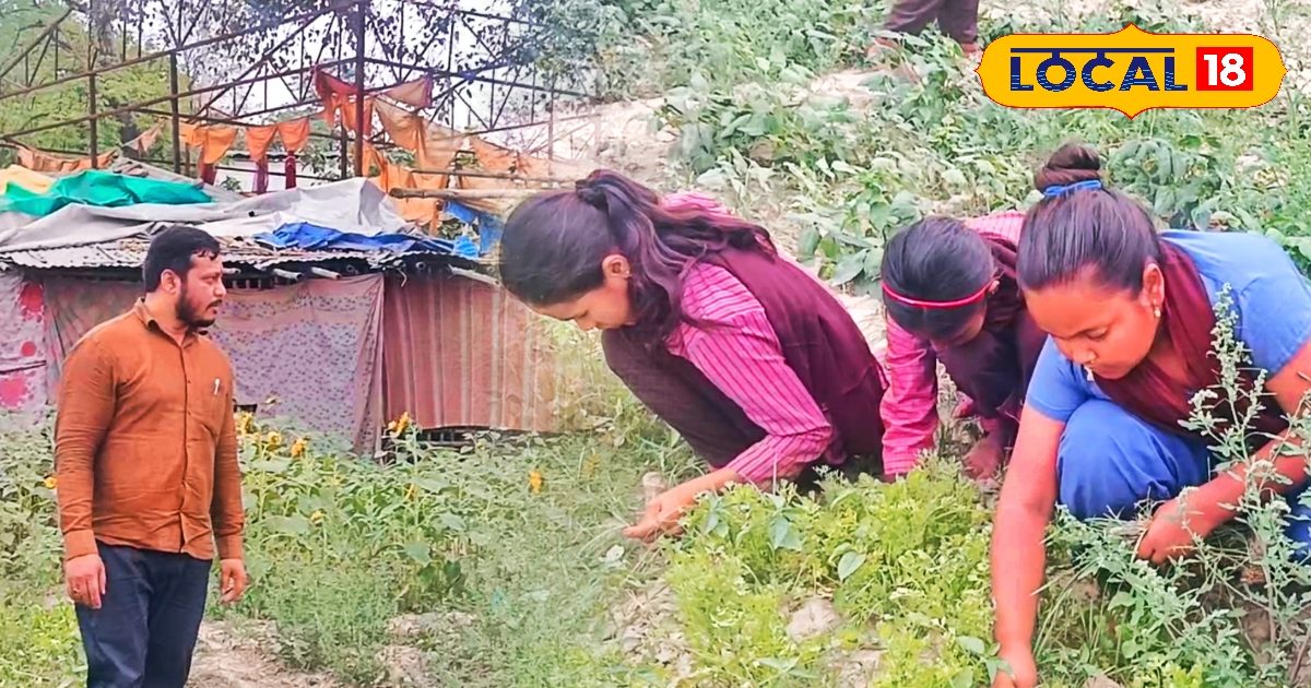 Appan Pathshala runs in this crematorium of Bihar, organic farming is ...