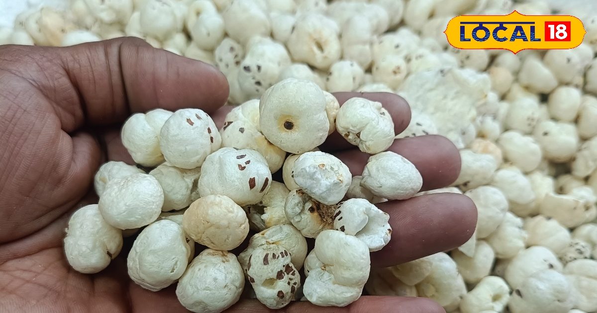 Eat fox nuts, wrinkles will not appear on the face before time - News18 ...