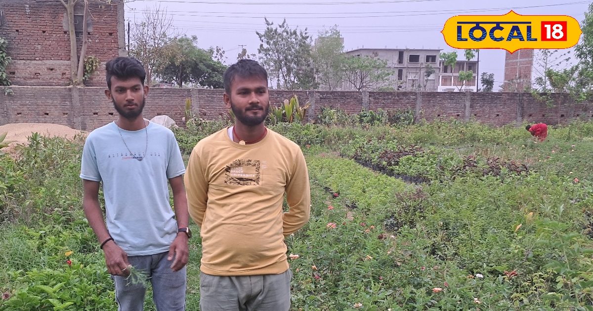 Ravi is becoming rich from nursery business in his childhood he used to ...