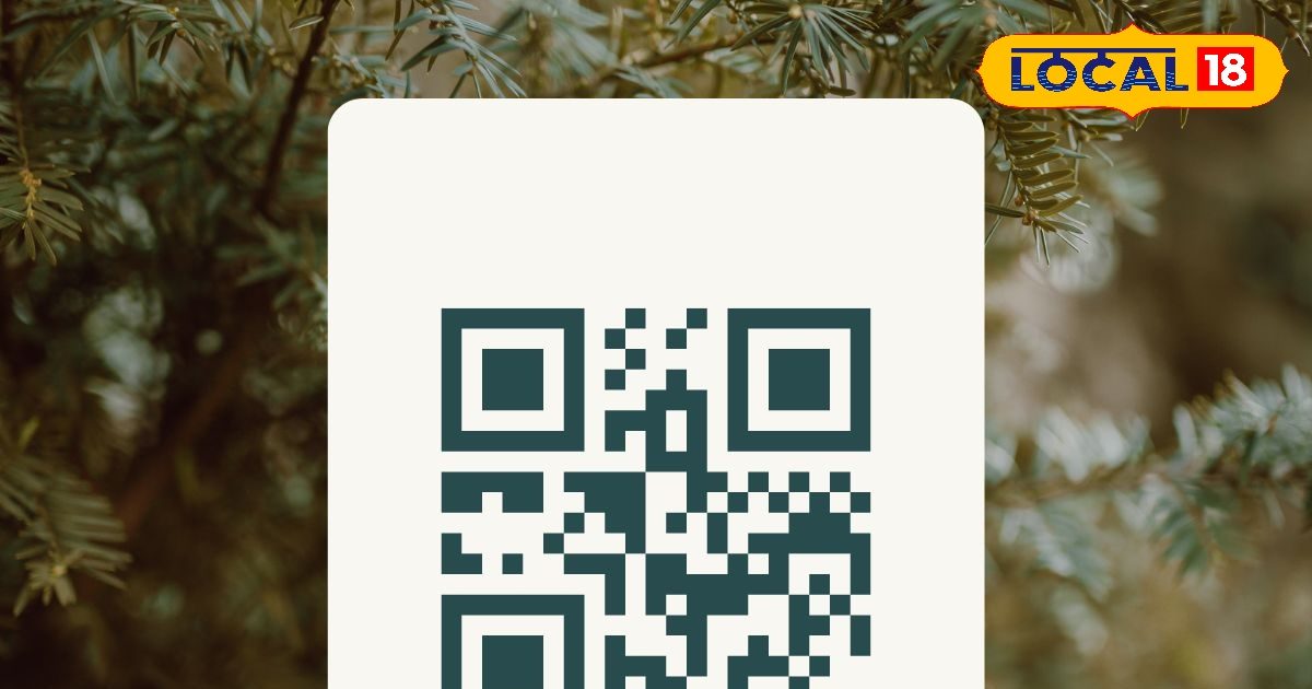 UPI QR Code : दुकानों पर लगाने के लिए कैसे मिलता है QR Code? जानें प्रोसेस और कितना लगेगा चार्ज ...