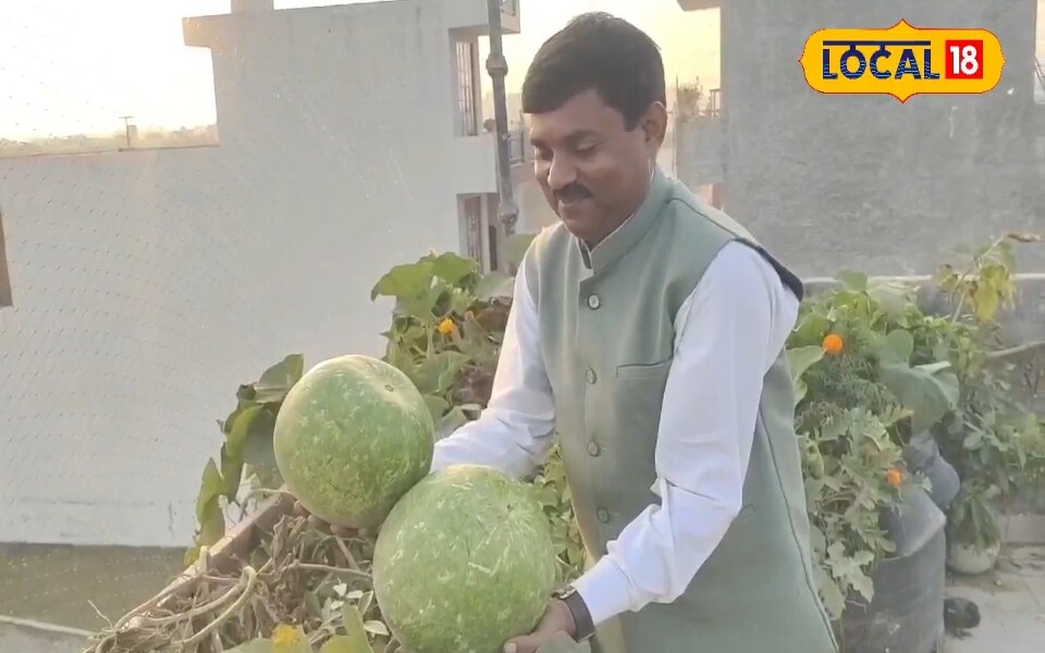 man-grew-fruits-at-home-planted-more-than-5000-fruit-and-vegetable ...