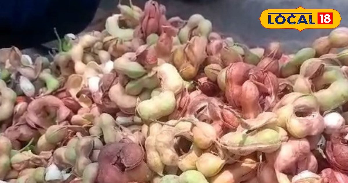 This wild fruit is available for two months of the year, it is full of ...