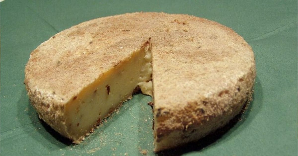 स्वाद के नाम पर कुछ भी! ज़िंदा घुनों के बीच रखते हैं चीज़, फिर खाकर लोग ...