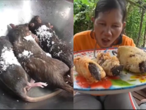 यहां चाव से खाया जाता है फ्राइड चूहा, भात में लपेट कर तलते हैं लोग, 1 पीस के बदले देने होते हैं ...