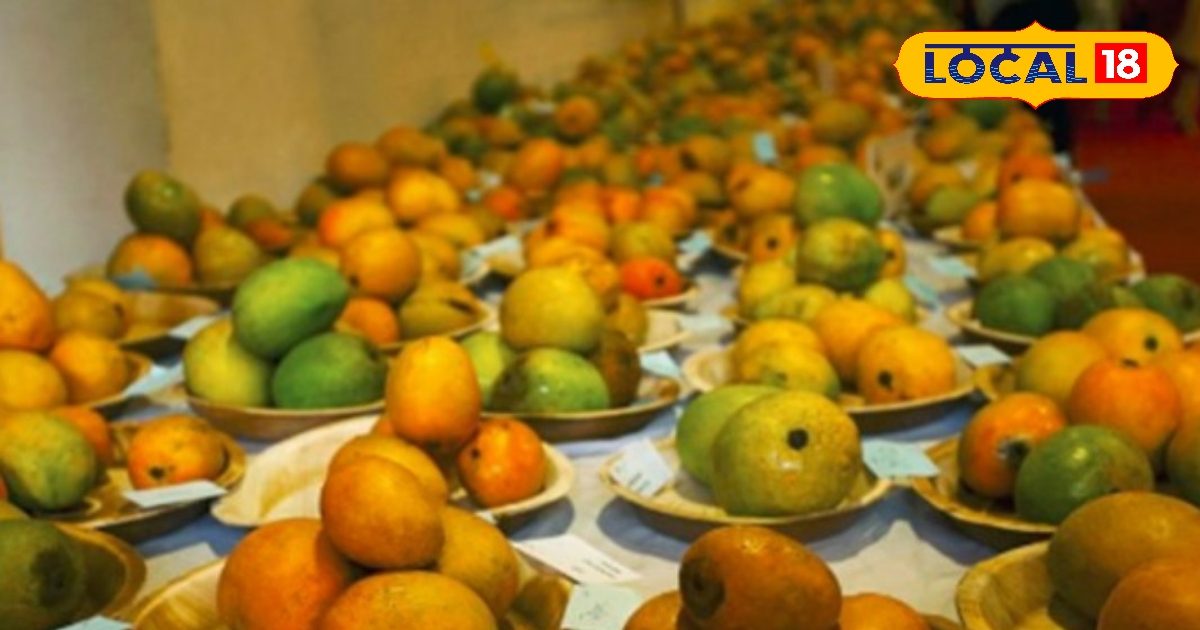 If you want to taste the king of fruits, Mango, then come to this city ...