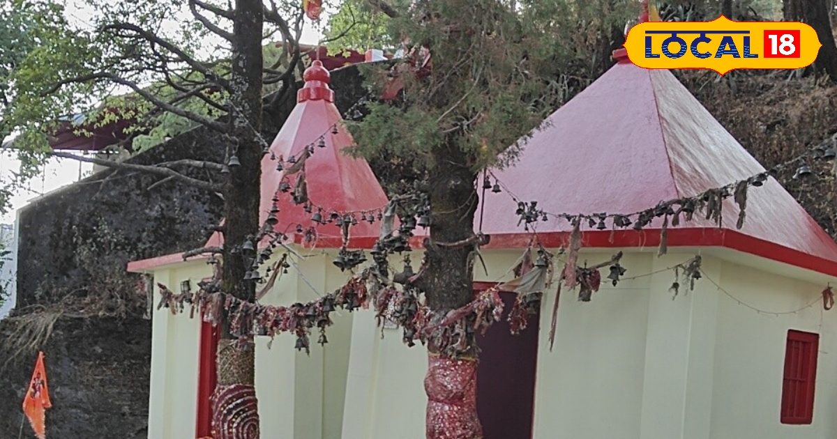 Smallpox disease is cured by darshan of Mother Goddess in Shitala Devi ...