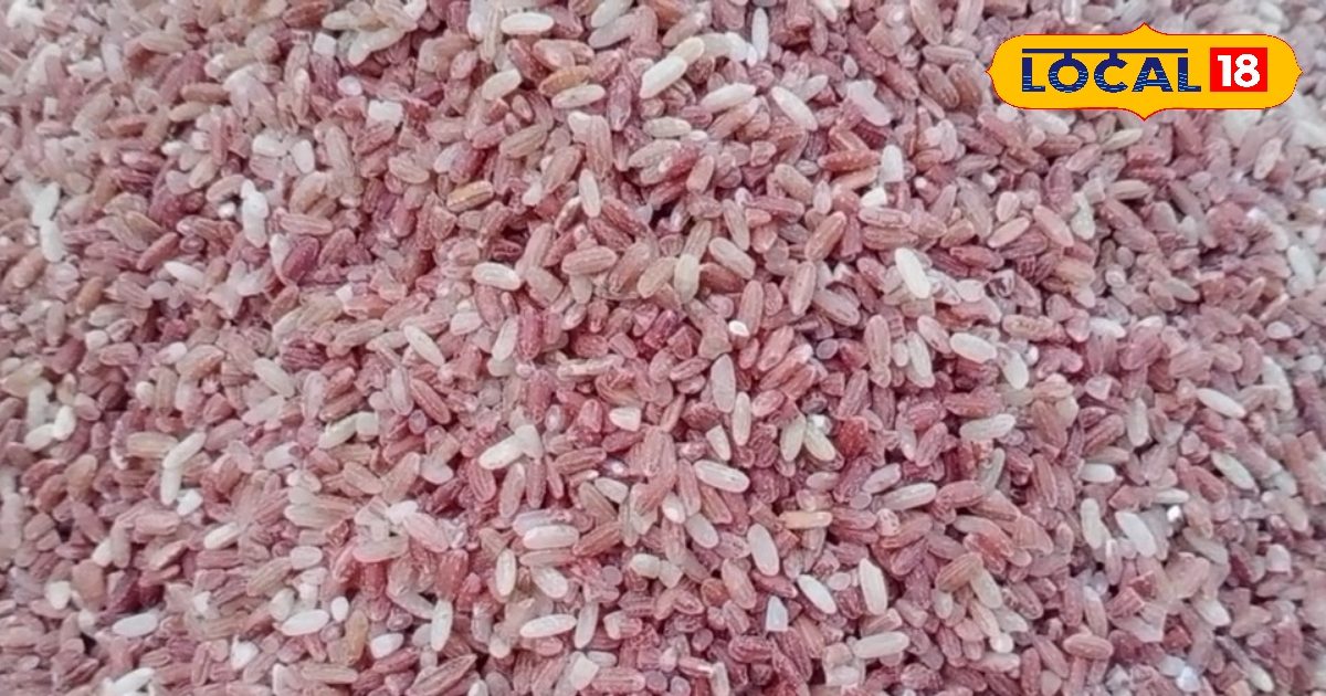 Red rice is delicious in taste and is also beneficial for health ...