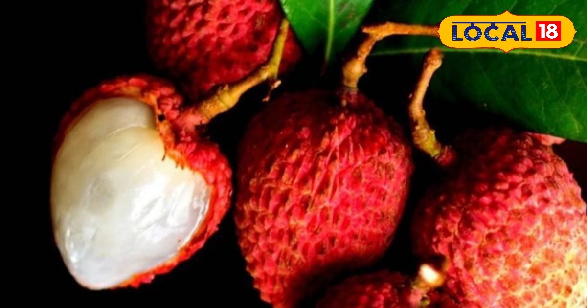 Muzaffarpur's Shahi Litchi is bearing the brunt of the scorching heat ...