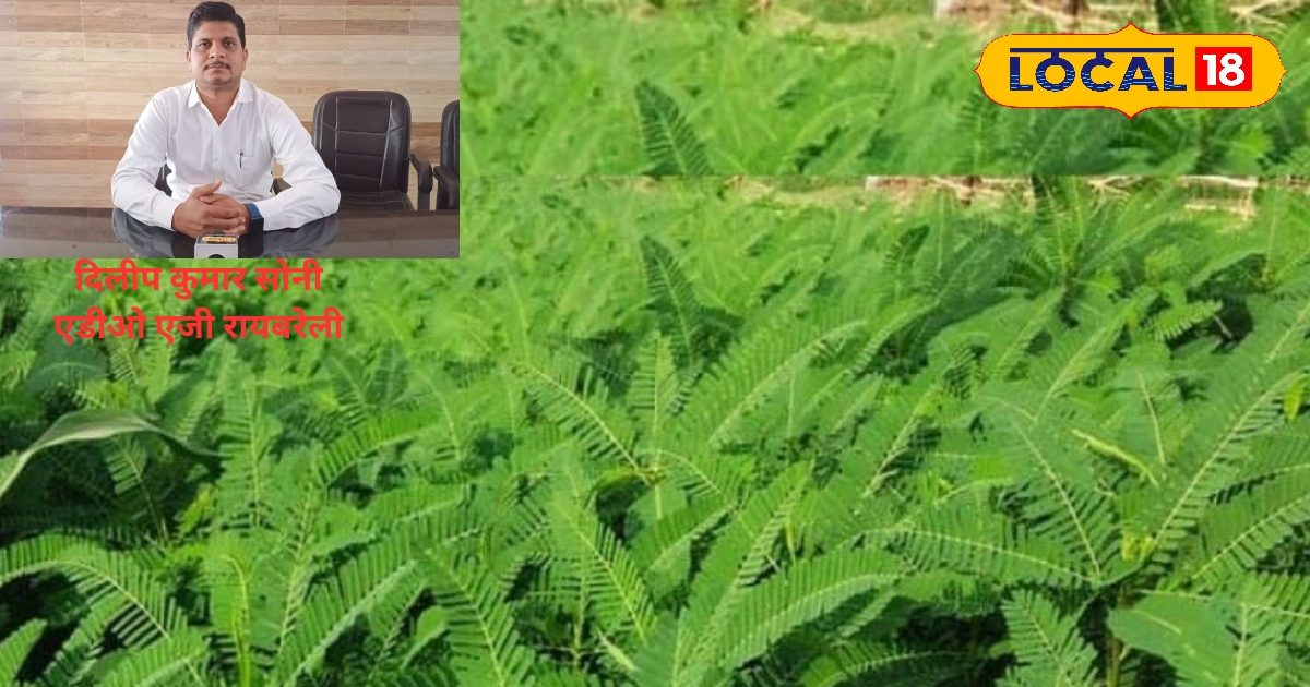 Before sowing Kharif crop, farmers should cultivate this seed in their ...