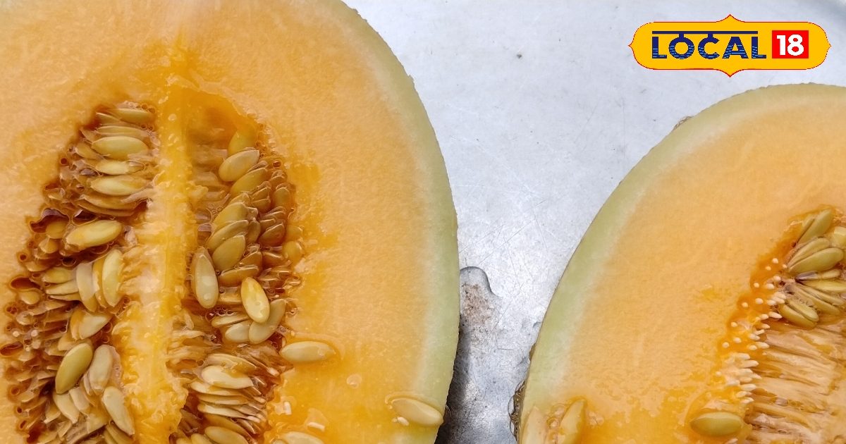 How to identify whether the melon is naturally ripened or ripened using ...