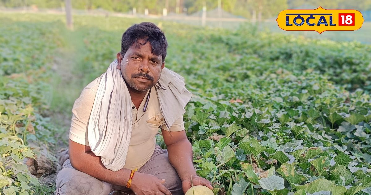 This farmer of Rae Bareli became a millionaire in 90 days through this ...