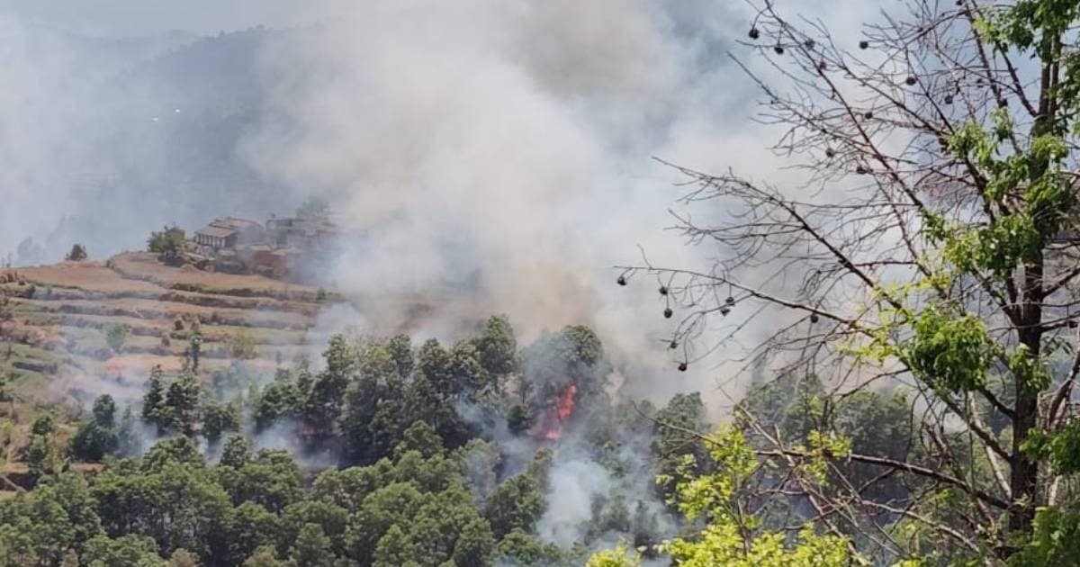 उत्‍तराखंड में क्‍यों धू-धू कर जल रहे जंगल? अब तक सामने आए 544 फायर ...