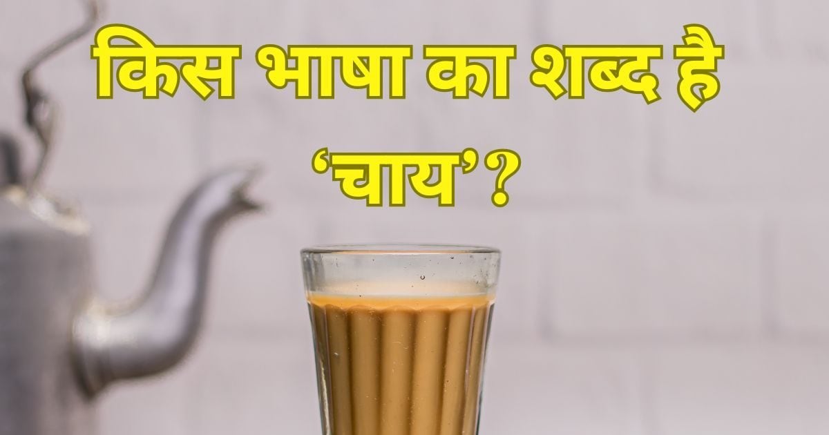 किस भाषा का शब्द है 'चाय', हिंदी में इसे क्या कहते हैं? शौकीनों को भी ...