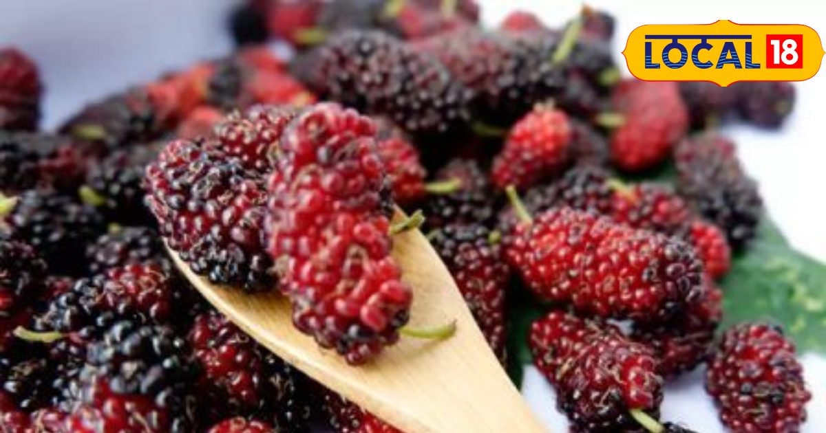 amazing benefits of shahtoot Eating mulberry will strengthen your bones ...