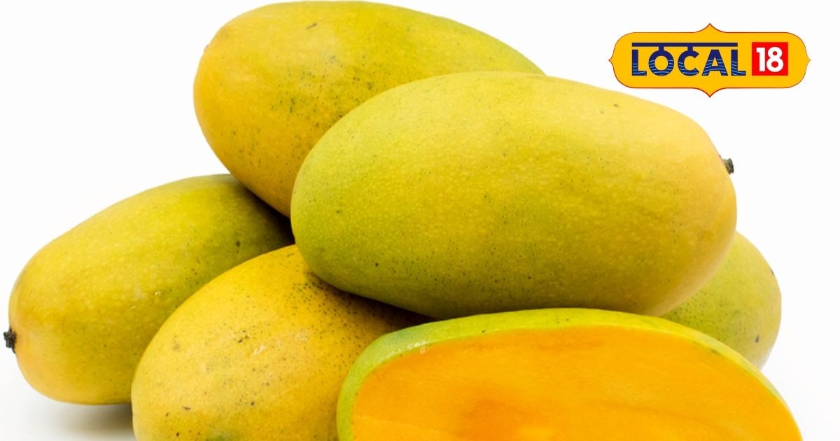 how-many-variety-of-mangoes-available-in-india-which-is-the-sweetest-in ...
