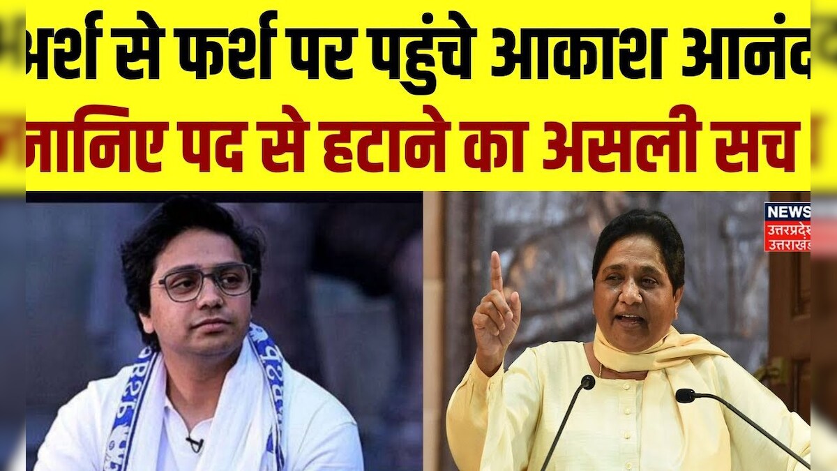 Loksabha Election 2024: अर्श से फर्श पर पहुंचे Akash Anand , जानिए पद ...
