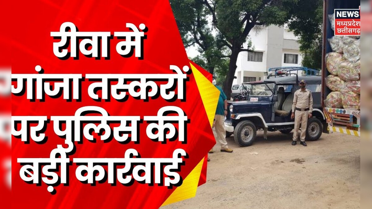 Rewa News : 500 किलो गांजा के साथ दो तस्कर गिरफ्तार, जब्त गांजे की कीमत 1 करोड़ रुपए | Crime ...