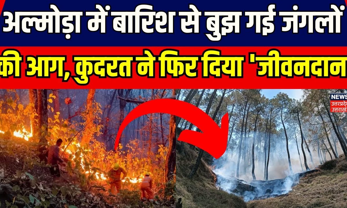 Uttarakhand News: Almora में बारिश से बुझ गई जंगलों की आग, कुदरत ने फिर ...