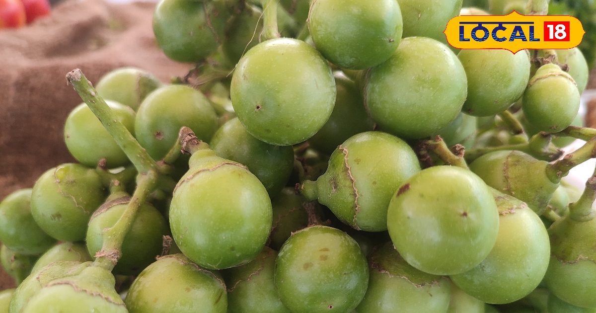 This Rajasthani fruit is available only for one and a half months ...