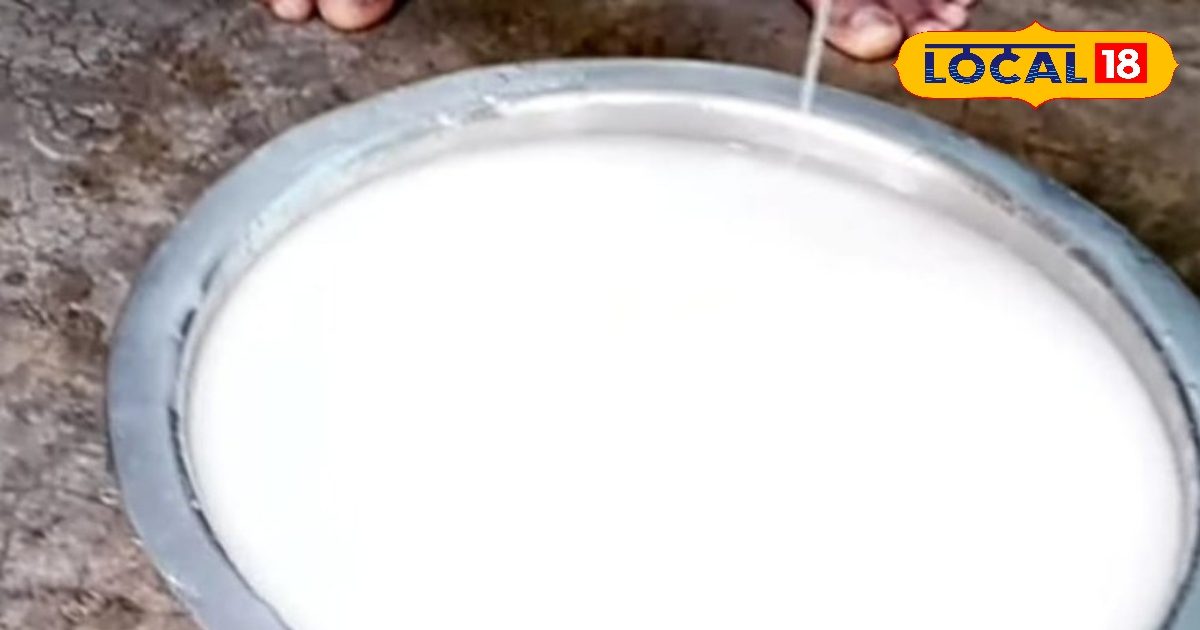 आदिवासियों की लोकल बियर...पीने से दिमाग रहता है एकदम झक्कास; और भी हैं फायदे jharkhand local ...