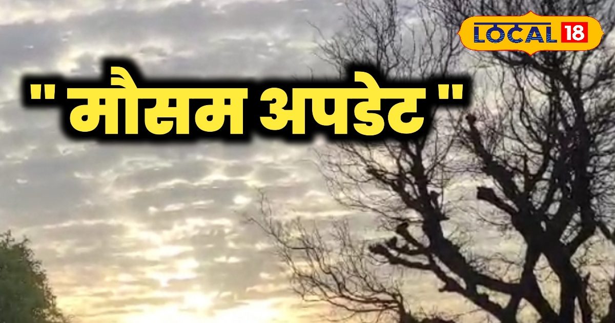 Weather Update: Light rain forecast in Jodhpur and Bikaner, heat wave ...