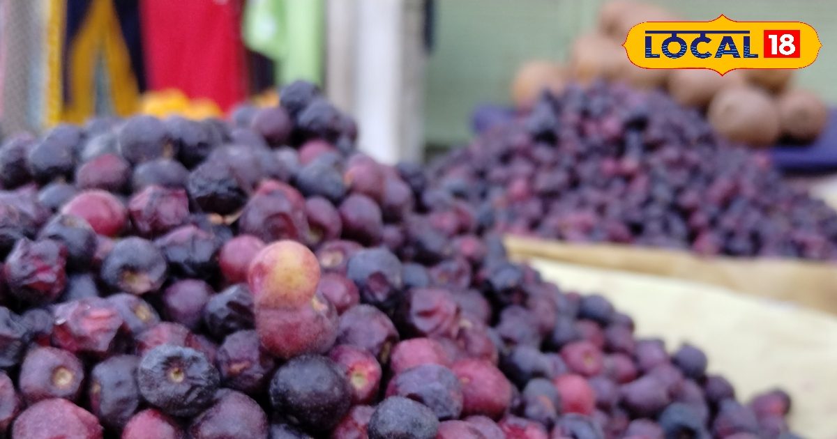 Benefits of Falsa Fruit: This fruit is full of medicinal properties ...