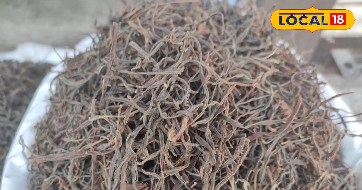 These five royal vegetables of Rajasthan, grow without farming, cost ...