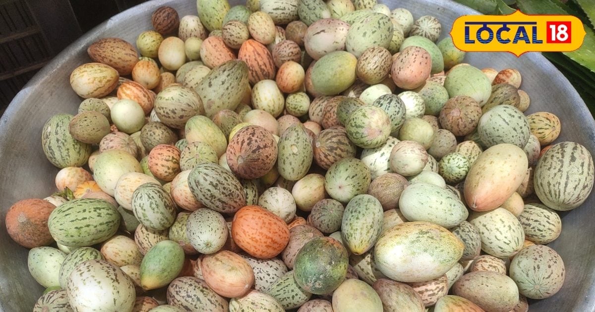 These three native vegetables grow in a temperature of 45 to 50 degrees ...