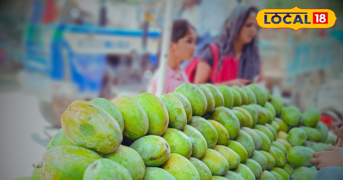 Maharashtra's Rajapuri mango is a hit in Karauli, one mango weighs half a kilo - News18 हिंदी