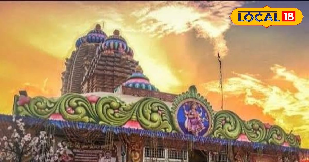 The grand form of Maa Mansa Devi is established on the birthplace of ...