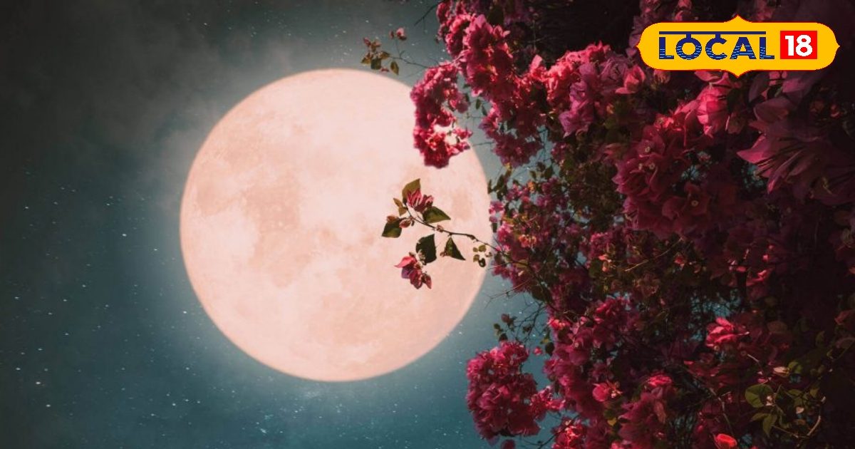 Flower Moon: A unique flower moon will be seen in the sky after seven o ...