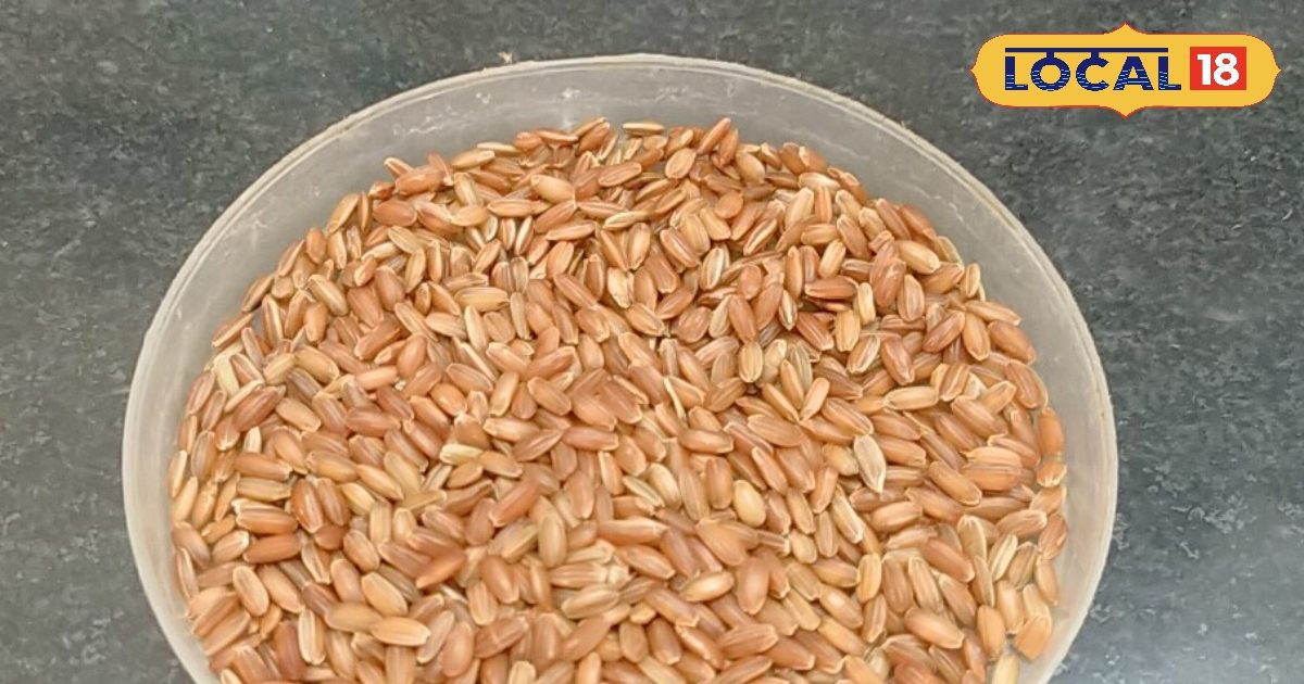 What are the benefits of eating red paddy - News18 हिंदी