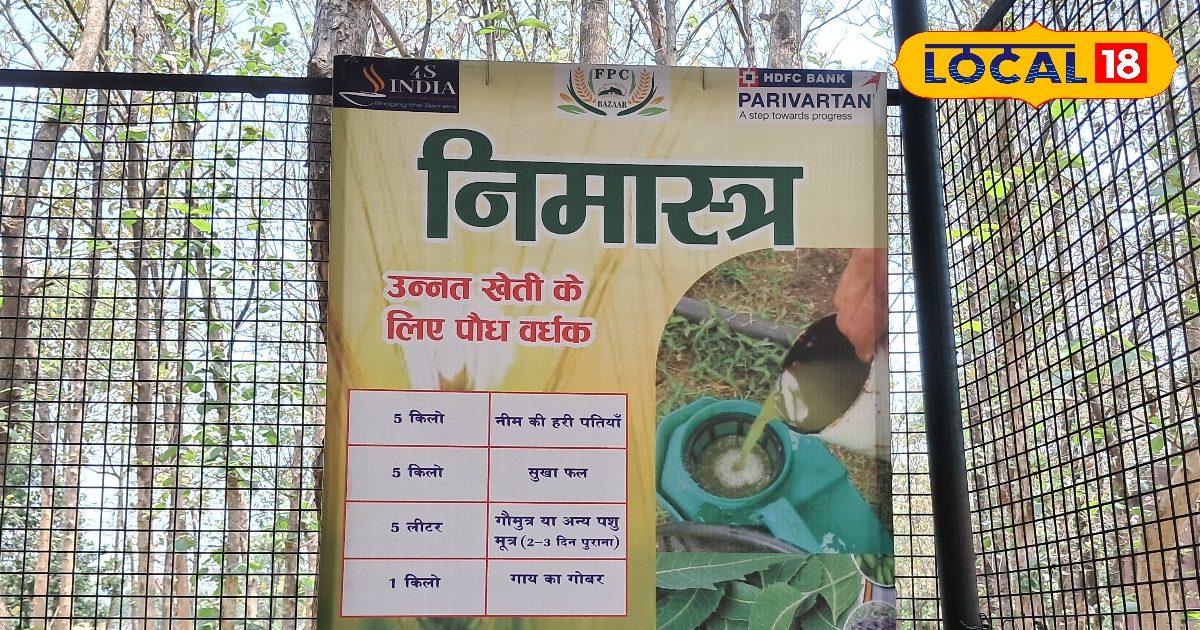 घर बैठे इस आसान तरीके से बनाए नीमास्त्र, कीट और बीमारियों से बचाने में ...